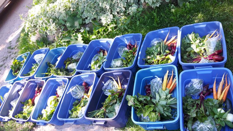 Welcome to Willo' Wind Farm - Willo'Wind Farm